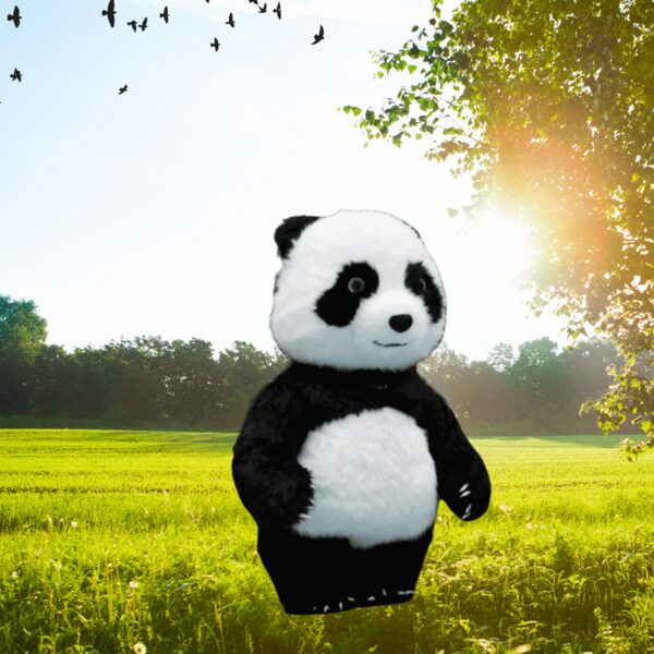 Baltais lācis : Piepūšamo atrakciju noma : Čeburaška : Animatoru ...